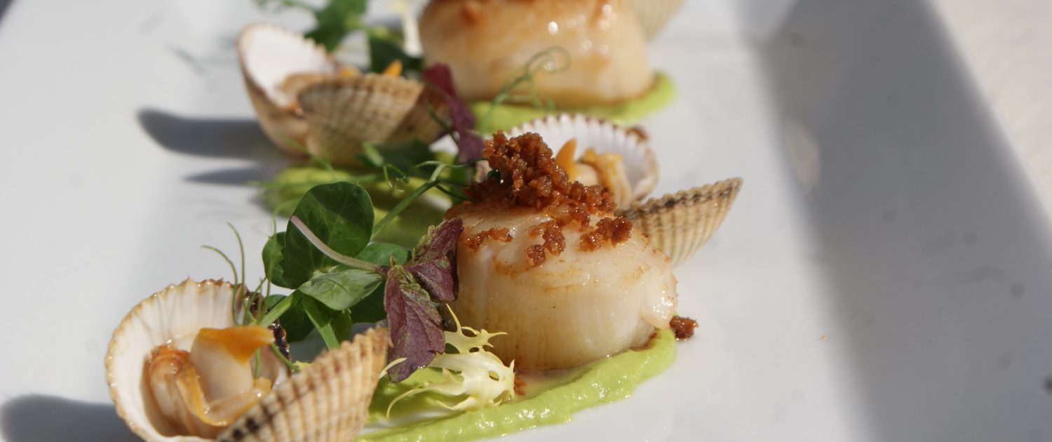 Visrestaurant de Tjotter Harlingen | Lunch en Diner | Reserveer nu!